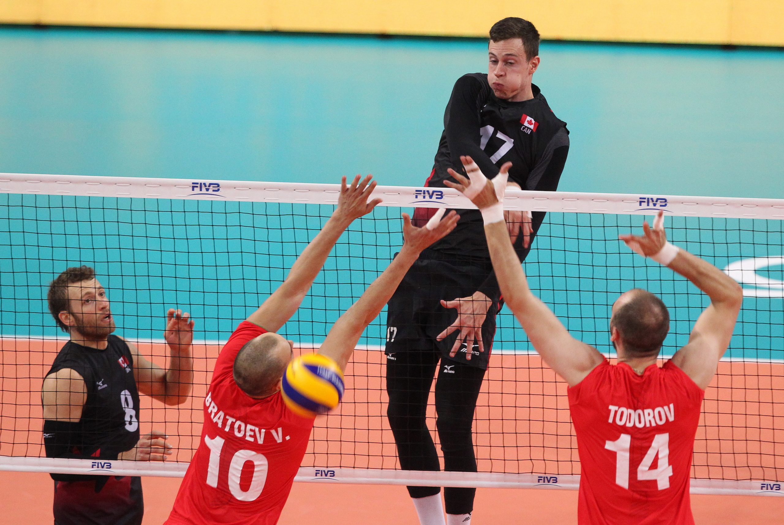 WorldofVolley :: TUR M: Vigrass stays in Turkey, will play for Halkbank ...