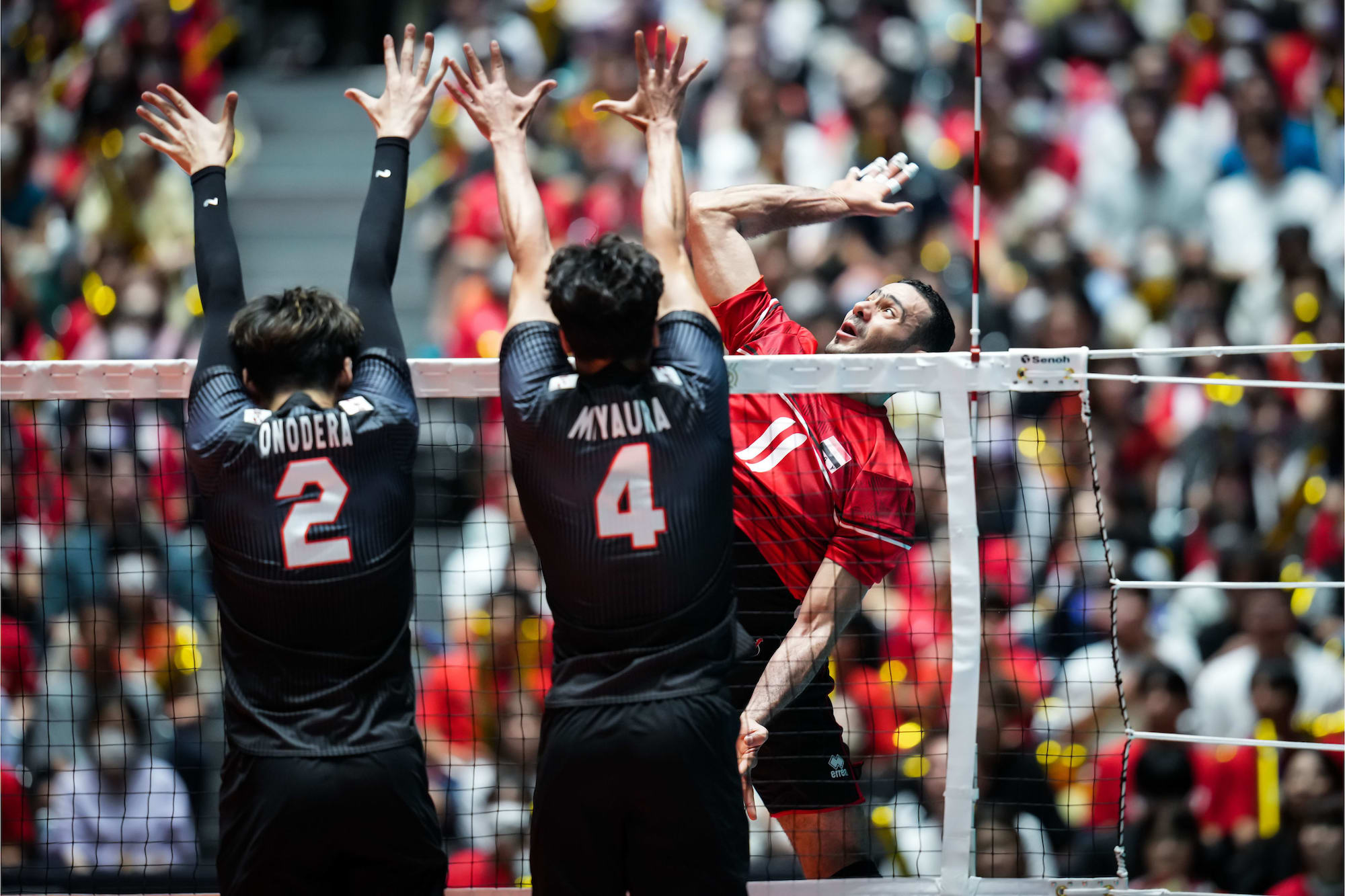 WorldofVolley :: Olympic Qualifiers Pool B: Egypt Stages Remarkable ...