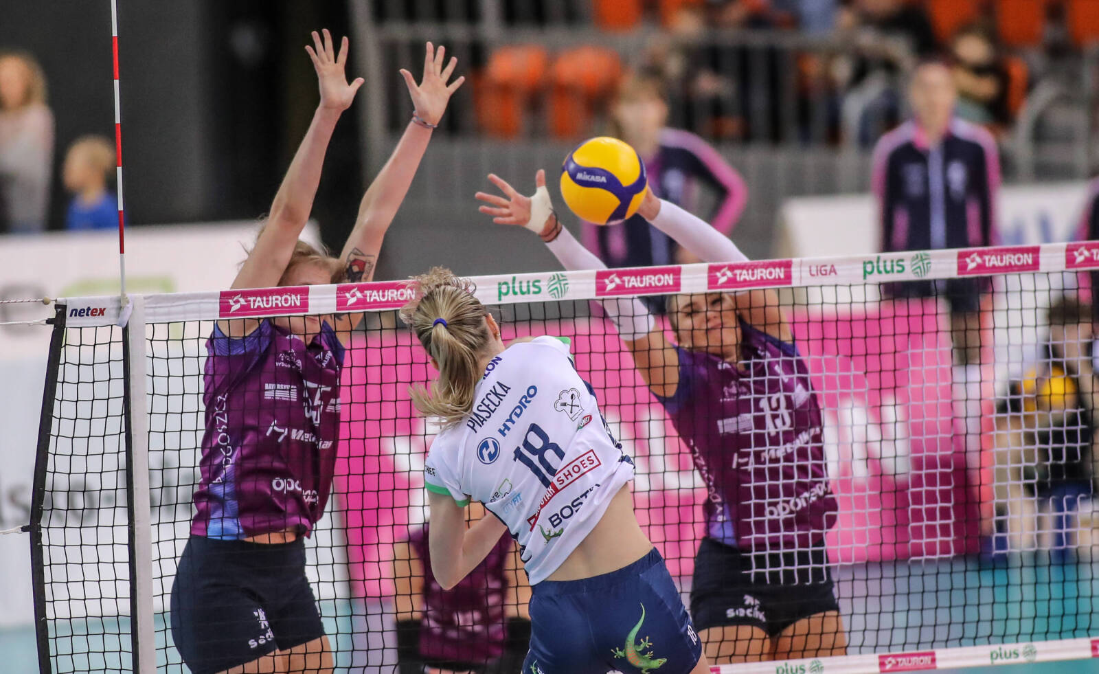 WorldofVolley :: POL W: BKS Bielsko-Biała Triumphs Over Metalkas Pałac ...
