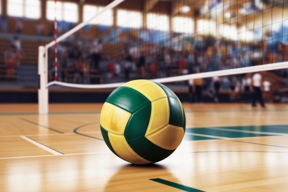 WorldofVolley :: 8 Interesting Facts about Volleyball - WorldOfVolley