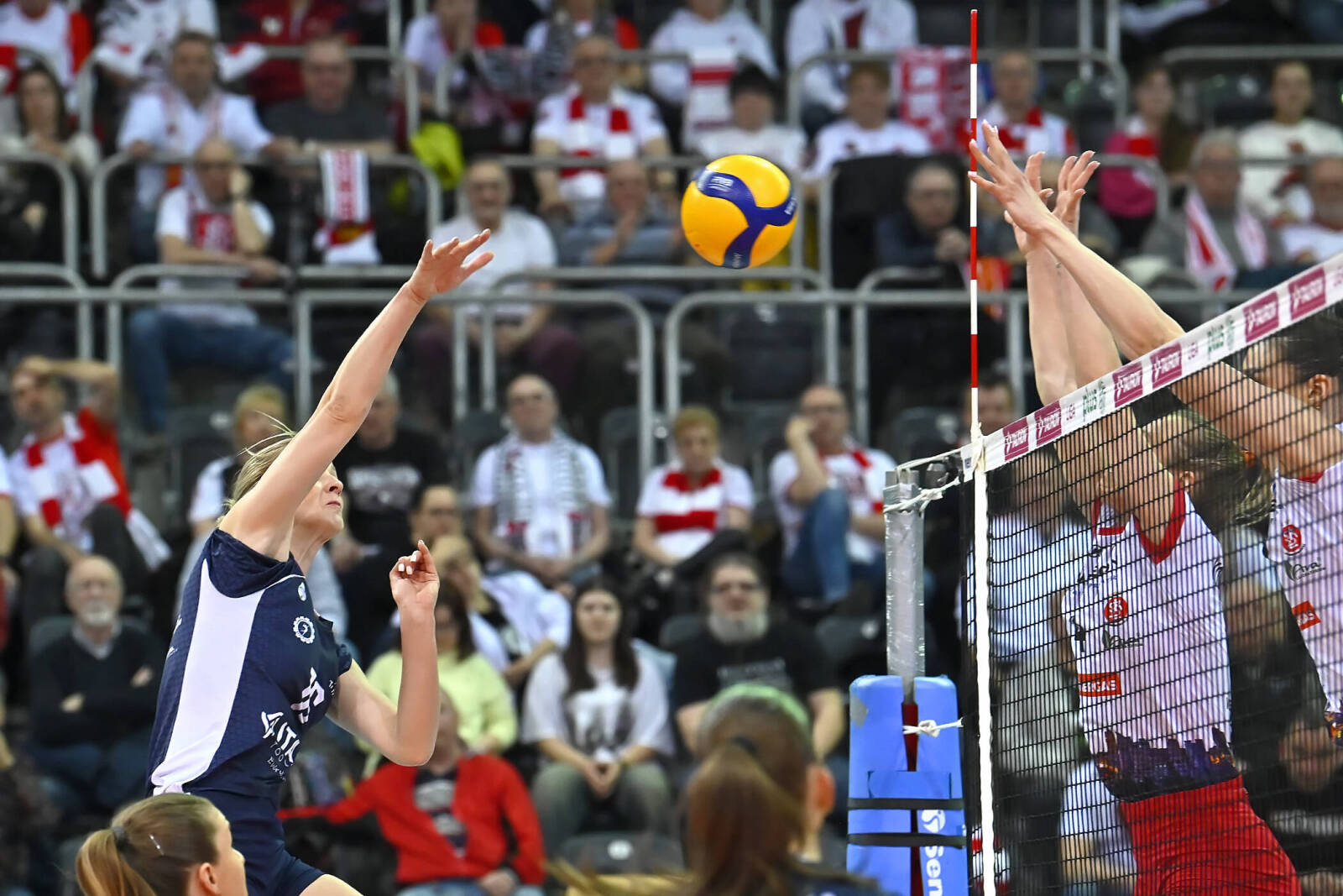 WorldofVolley :: WorldOfVolley - volleyball news from around the world